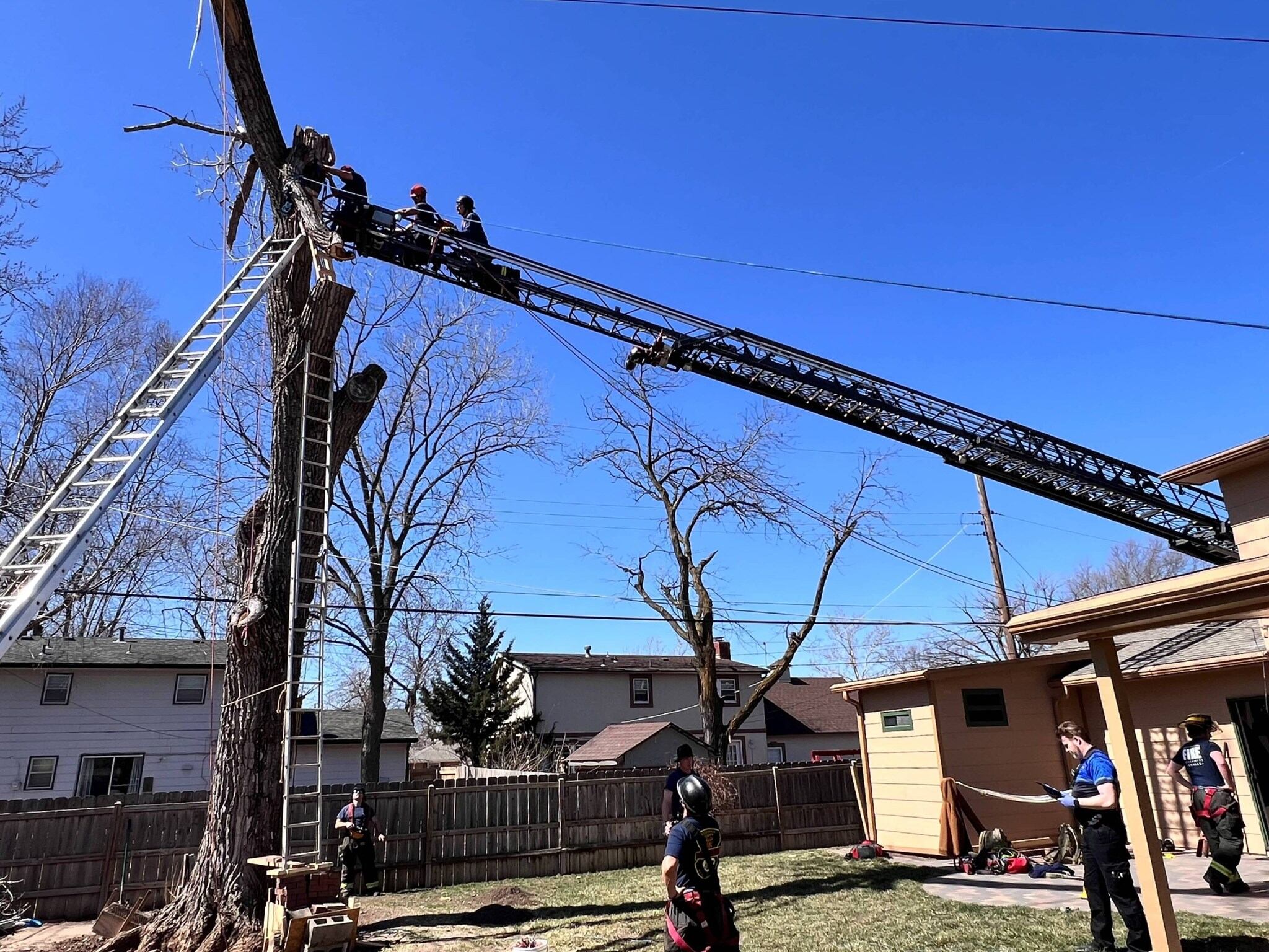 Homeowner stuck in tree: Sedgwick Co. and Wichita fire departments come ...