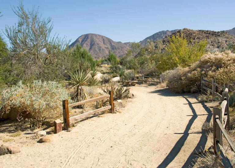 25 Best Zoos in the United States: How Many Have You Visited?