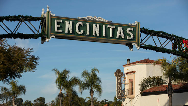 Situated Between Carlsbad And San Diego Is A Vibrant California Beach ...
