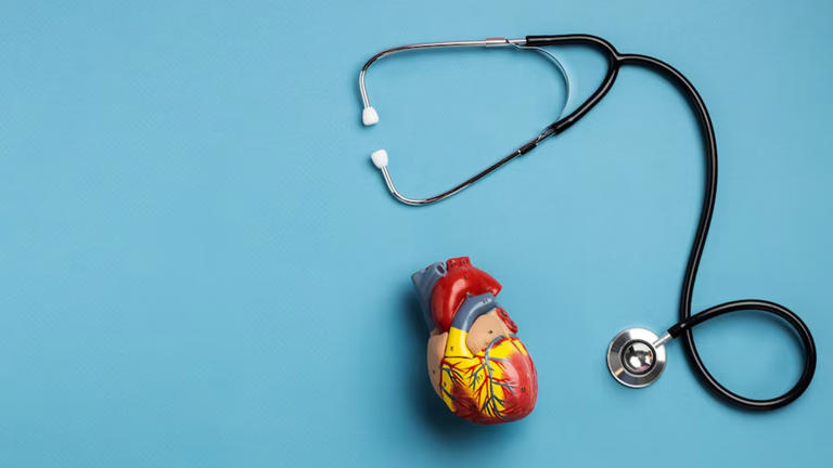 What Is Durum Wheat? Understanding Health Benefits