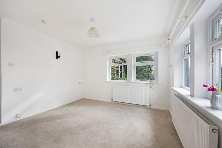 How To Build Bone Density: 7 Tips for Stronger Bones