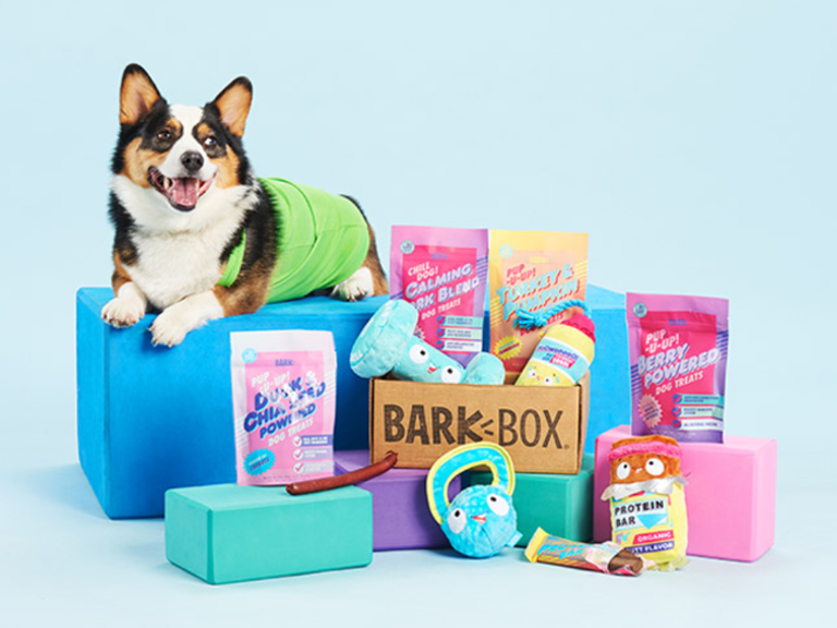 High-quality dog subscription boxes to order in Canada