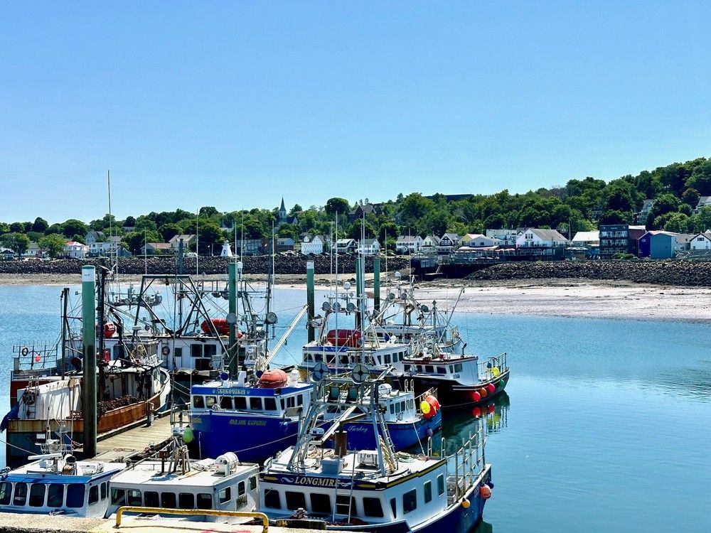 COMMENTARY: ‘Digby's potential is immense, but realizing it requires a ...