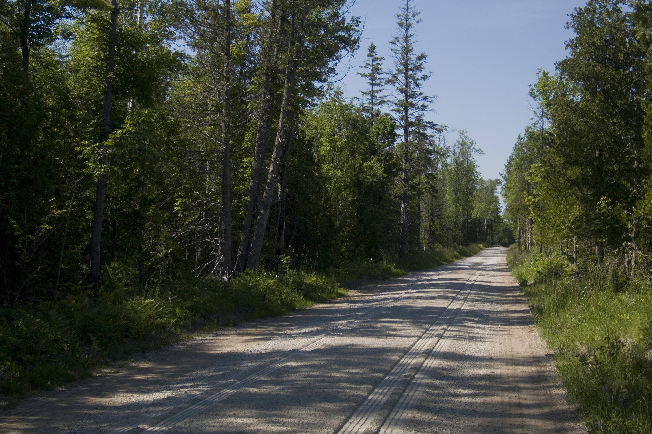 Charming Minnesota Scenic Byway Named 'Most Beautiful Road' In The State