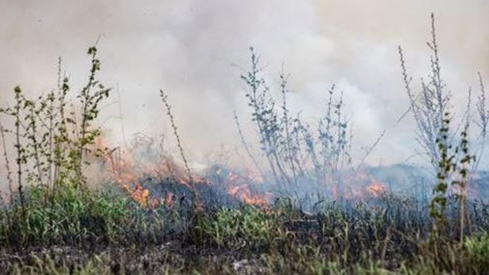 Michigan DNR's first prescribed burns of 2025 to burn 107 acres in ...