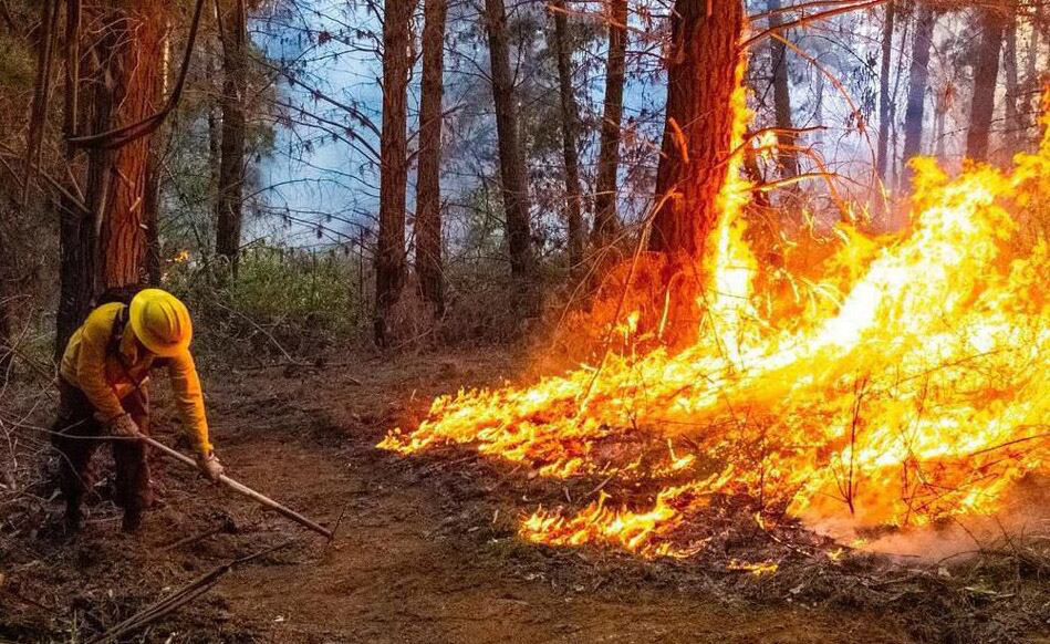 Declaran alerta roja en Rengo por incendio forestal cercano a sectores ... Declaran alerta roja en Rengo por incendio forestal cercano a sectores ...