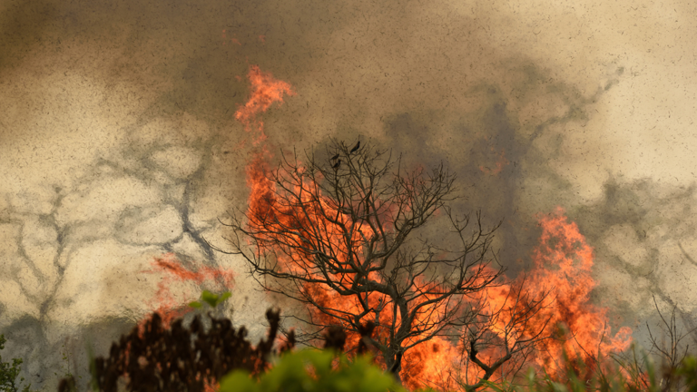 Why Is There Smoke In Greensboro? Controlled Burns Lead To Massive Haze ...