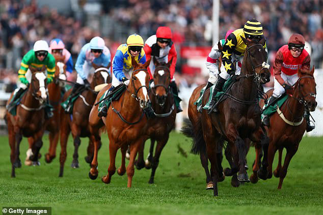 Forget the Benidorm buzz, Cheltenham is rocking again - chief executive ...