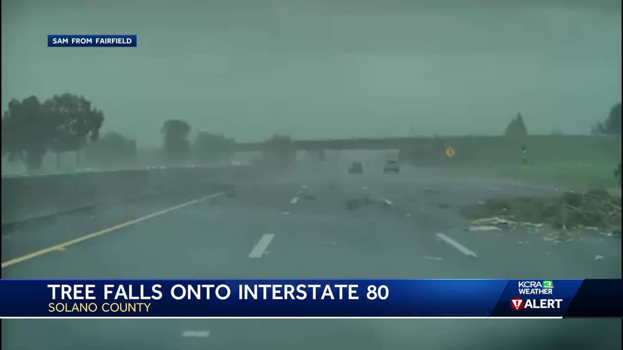 Dashcam shows tree fall on Interstate 80 during rainstorm
