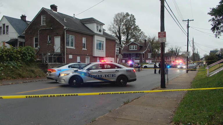 Louisville organizations discuss combating gang, gun violence problems