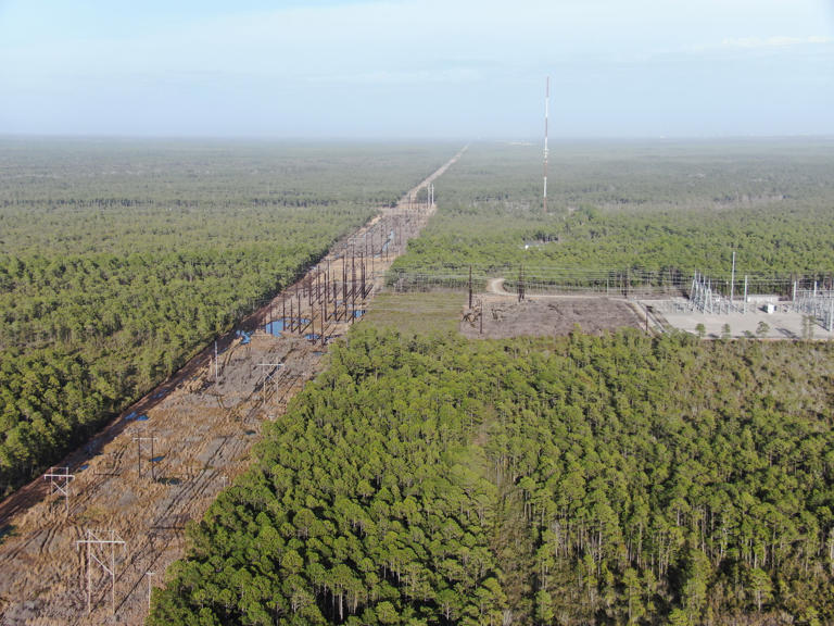 Carolina Forest wildfire now 65% contained, forestry commission says