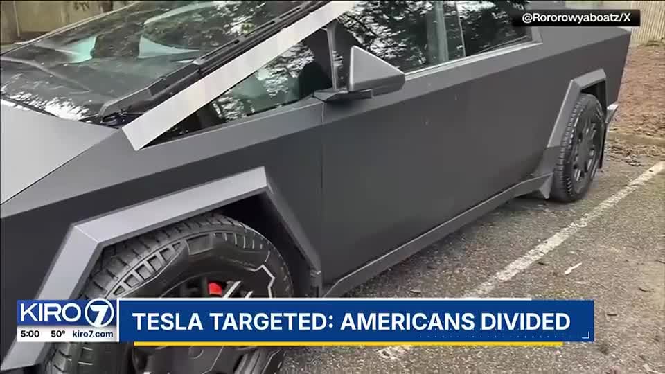 VIDEO: Tesla Targeted: Americans Divided