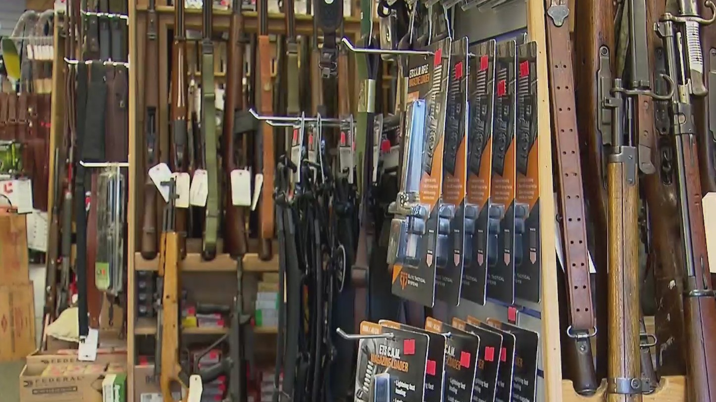 Oregon gun control law is constitutional, according to state appeals court