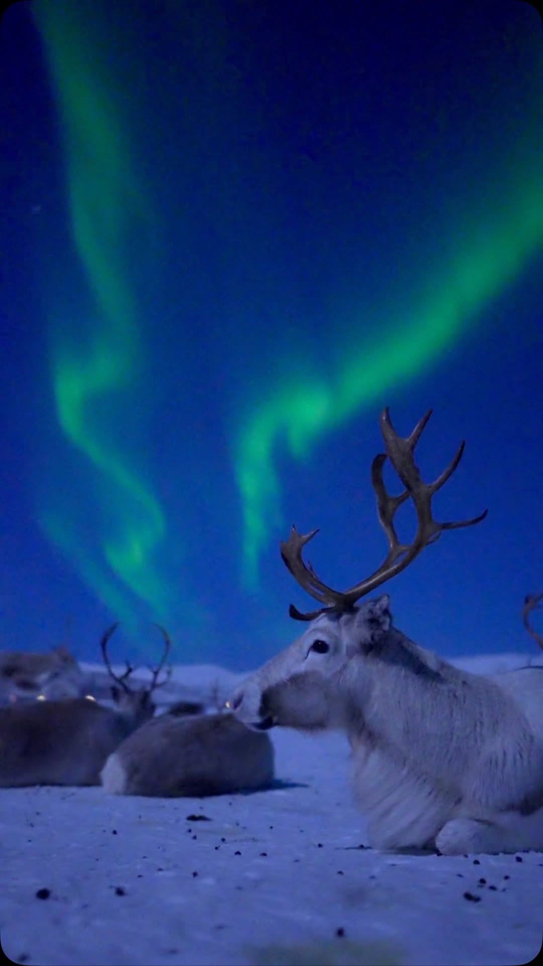 Precious Moments: The Little Things That Make Life Unforgettable