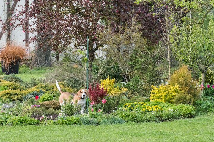 Ready for Spring? The Right Poop Clean-Up Tools Can Help!