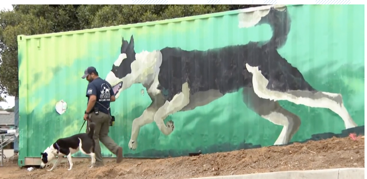 Huge Mural Highlights Urgent Plea for Shelter’s Longest Resident Still ...