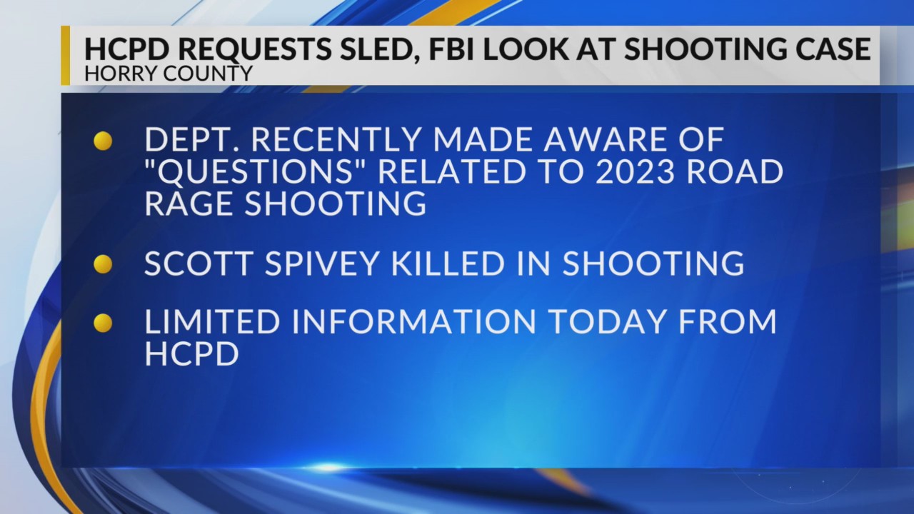 Horry County police chief asks SLED, FBI to review deadly 2023 Highway ...
