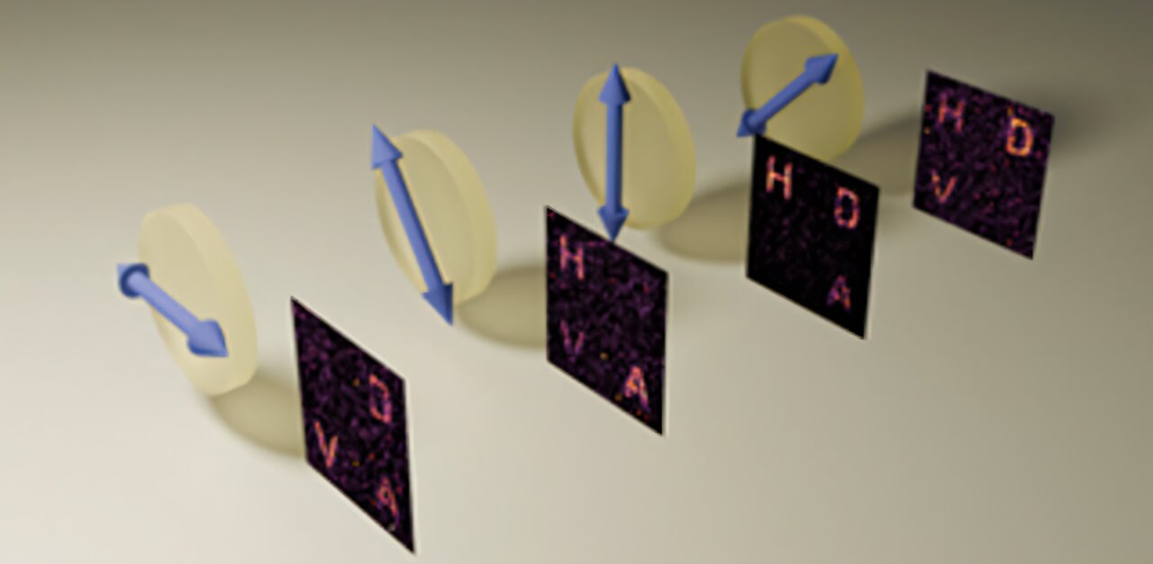 Quantum holograms: Metasurfaces entangle light and information in new study