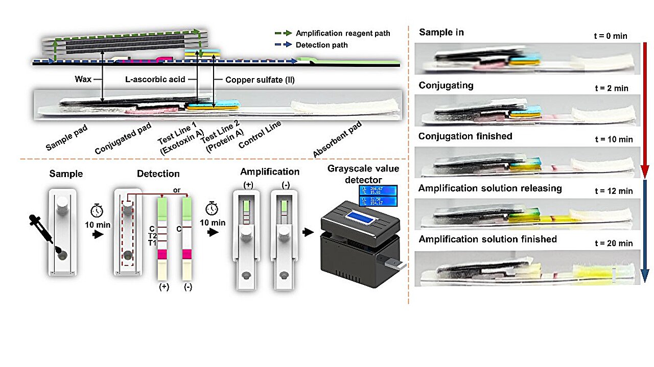 One-step high-sensitivity approach enables rapid bacterial pathogen ...