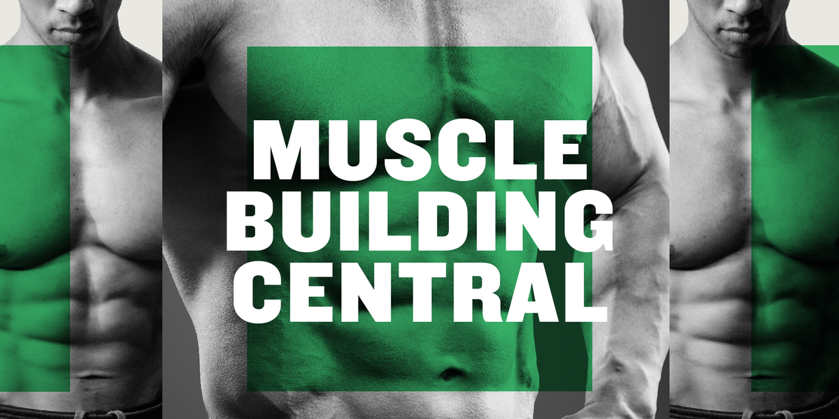 The Definitive Guide to Building More Muscle