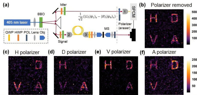 Quantum holograms: Metasurfaces entangle light and information in new study