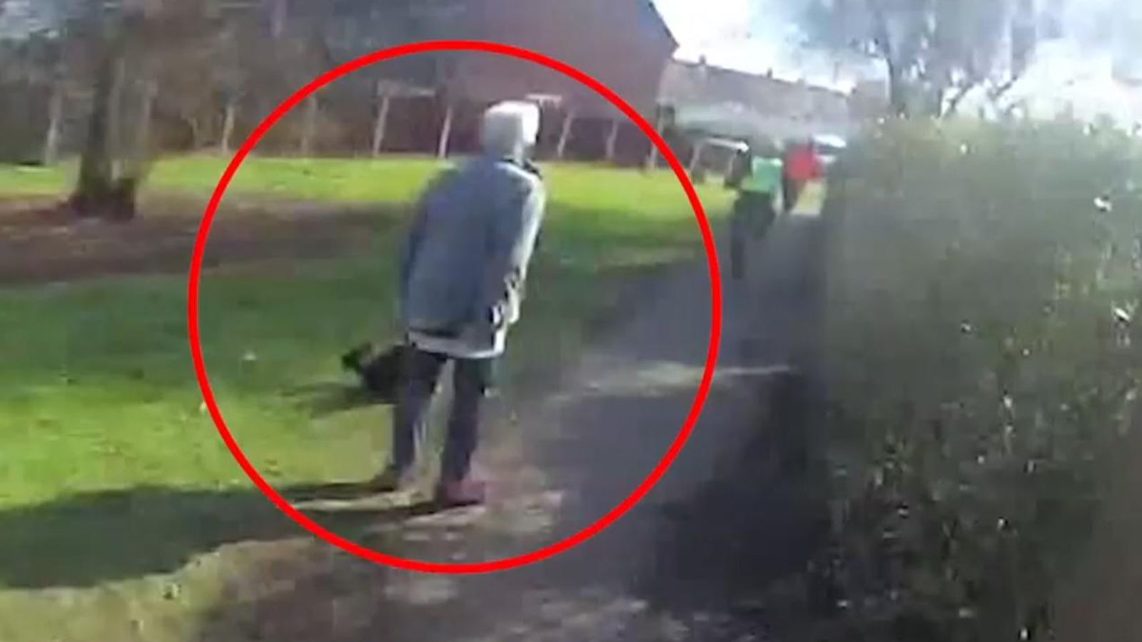 Moment dog walker helps police catch suspect