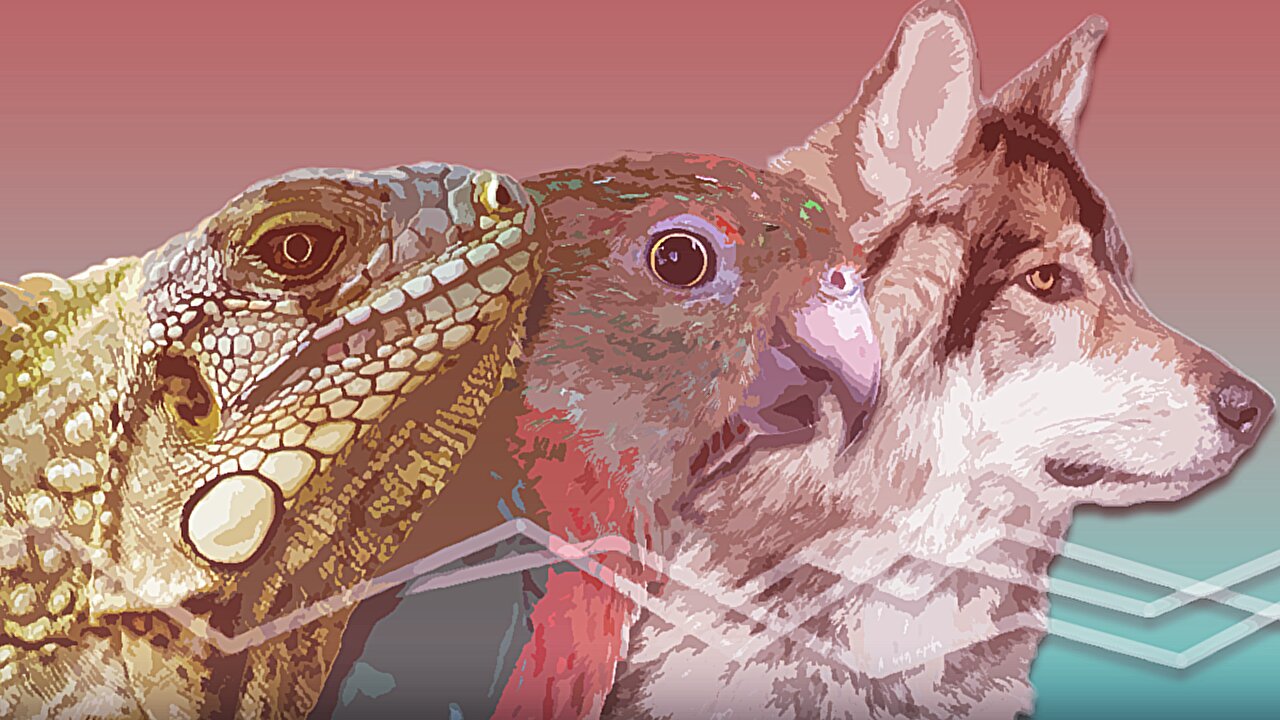 Some animals' natural biological defenses could inspire new approaches ...