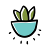 How to Grow Baby Succulents from Leaves and Cuttings