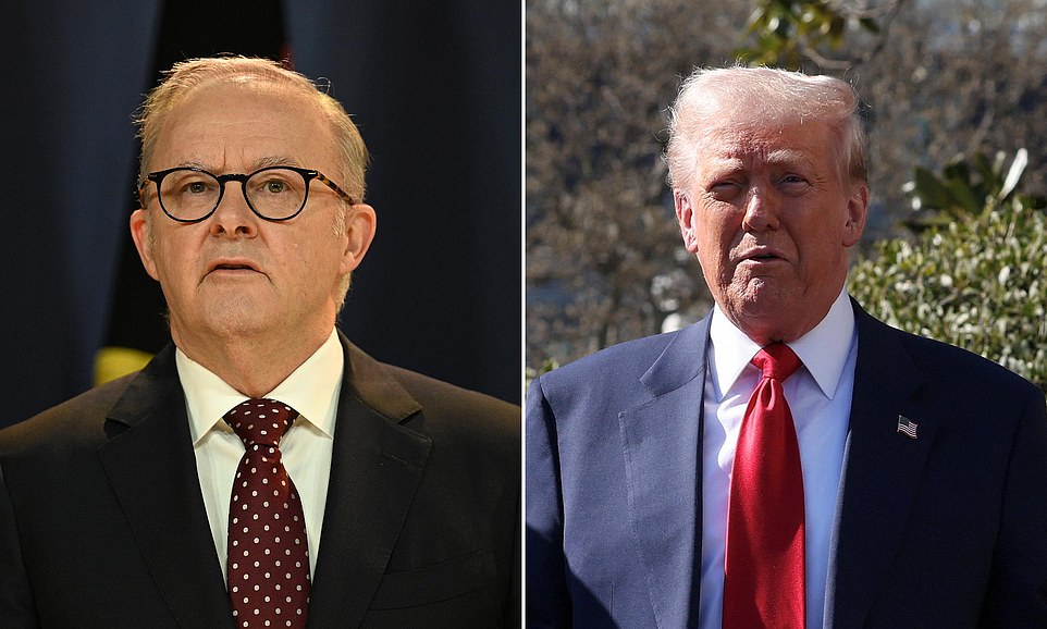 Albo accused of failing to show 'interest' in Trump before tariff blow