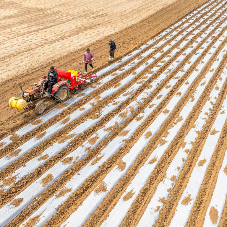 China's retaliatory tariffs are a direct hit to U.S. farmers