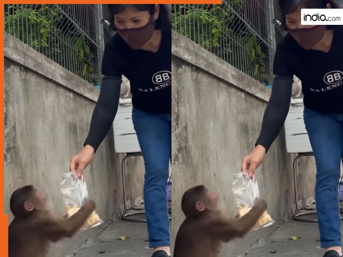 Bandar Ka Video: लड़की ने खाना दिया तो खिल उठा बंदर का चेहरा, फिर जो ...