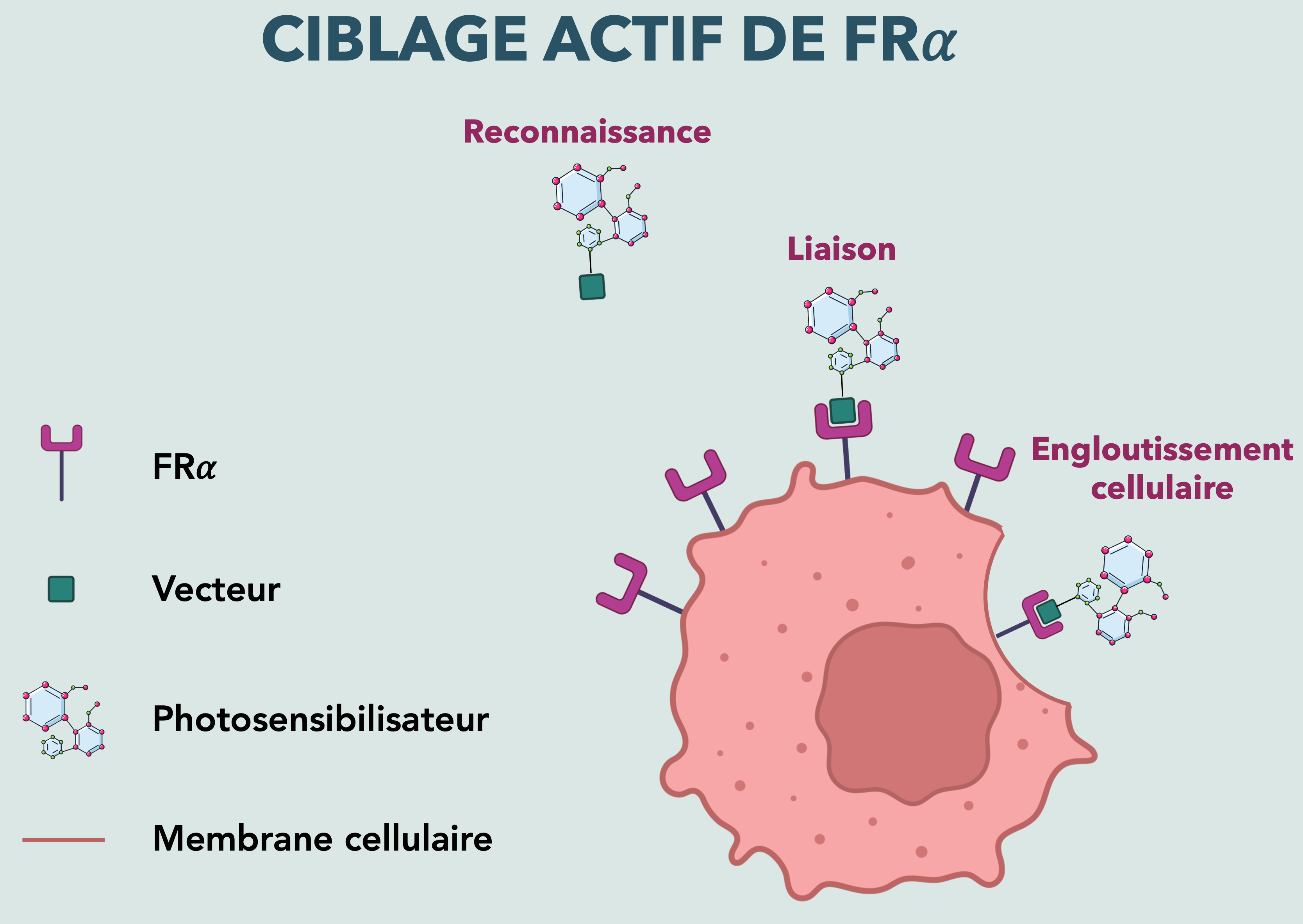 A new light therapy to defeat one of the deadliest cancers 💡