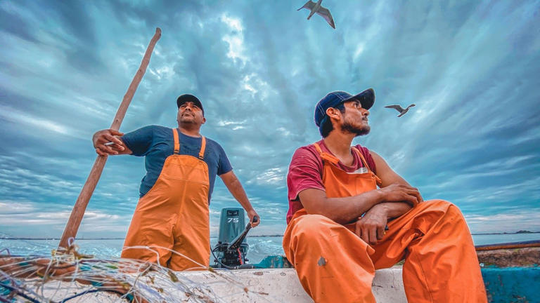 Qué es la Carta Nacional pesquera y sus diez especies de importancia ...