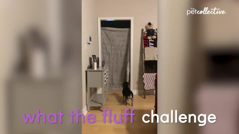 Viral Challenges