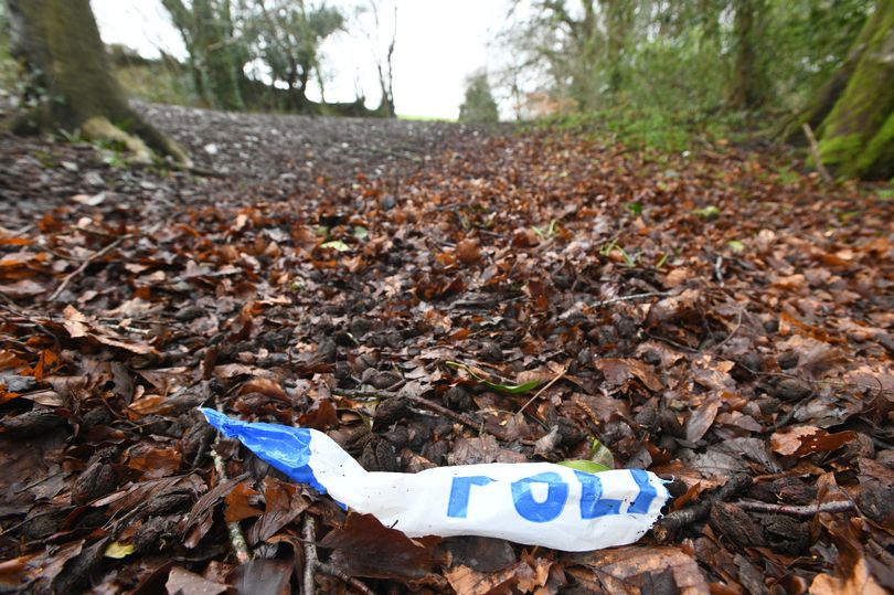 Devon woman died after falling down bank in tragic accident