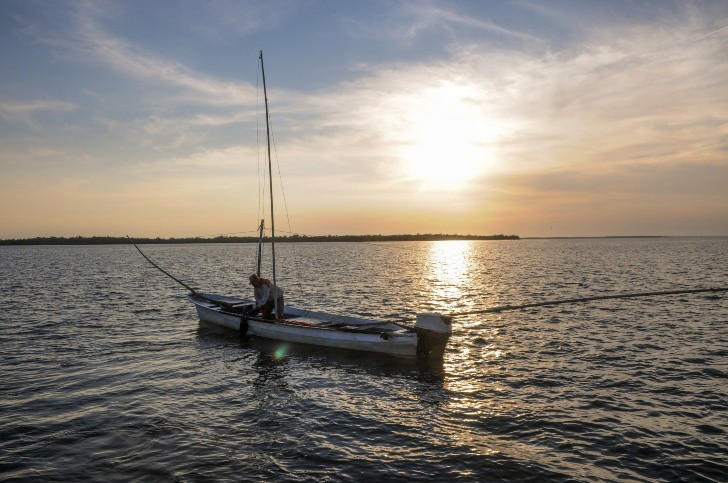 Qué es la Carta Nacional pesquera y sus diez especies de importancia ...