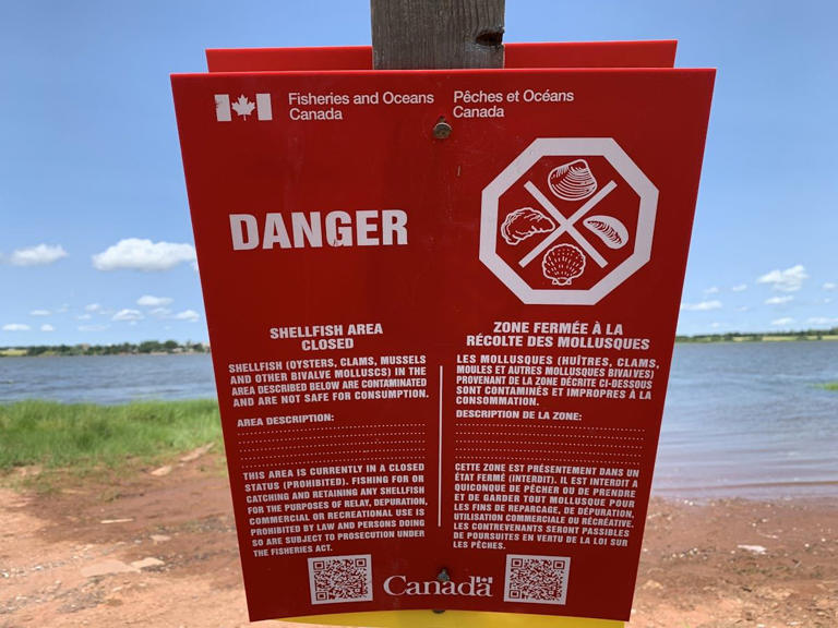 LETTERS: P.E.I.'s oyster industry needs protection