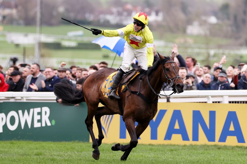 Cheltenham Festival day 3 full race card and tips - list of runners on ...