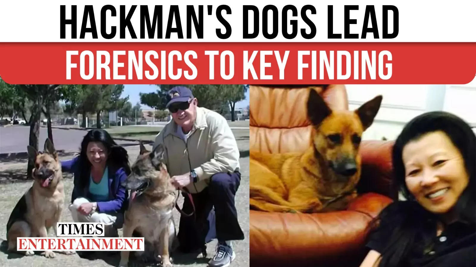Gene Hackman's Dogs Play Big Role In Investigation With Last Act Of Loyalty