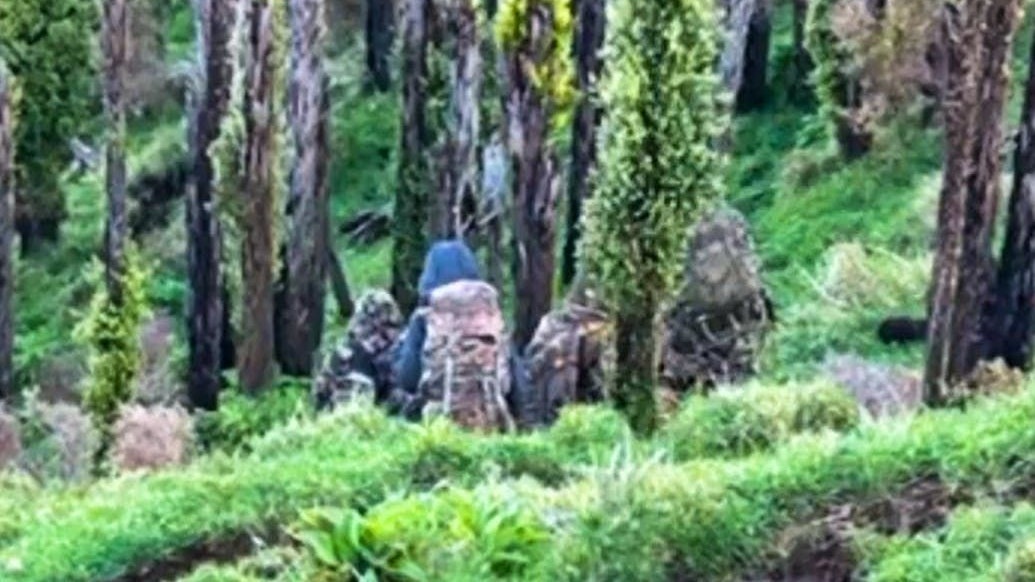 Vater flieht mit Kindern in Wildnis – Polizei hat Spur