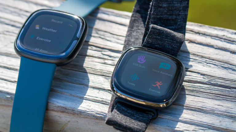 Blood pressure tracking could be the next big thing on a future Fitbit ...