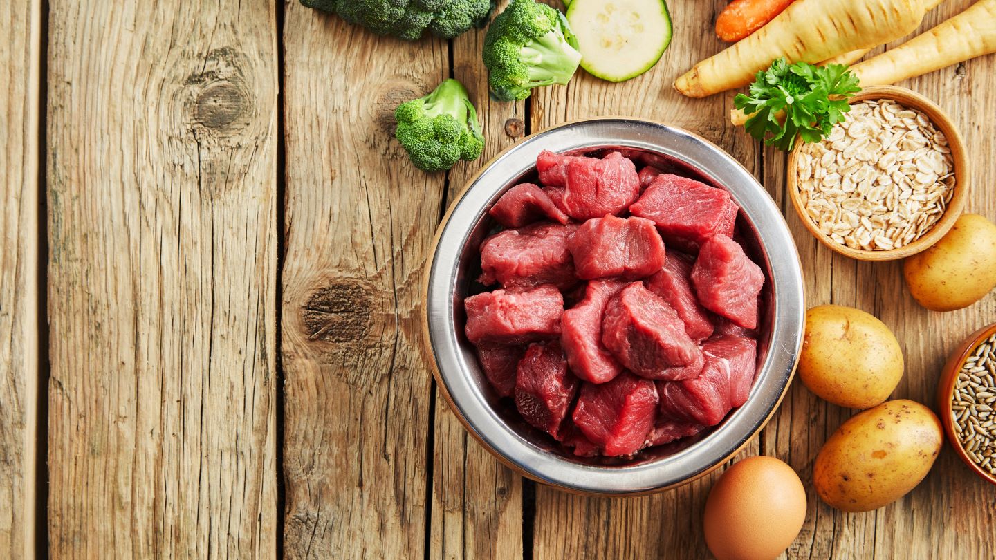 The Nutriment Company buys German pet-food business BAF