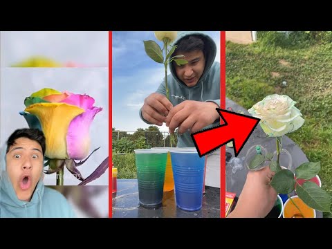 How is This Even Possible?!