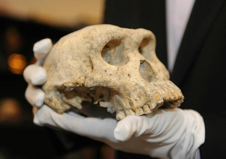 Meet 'Pink', the new face of human evolution in Europe