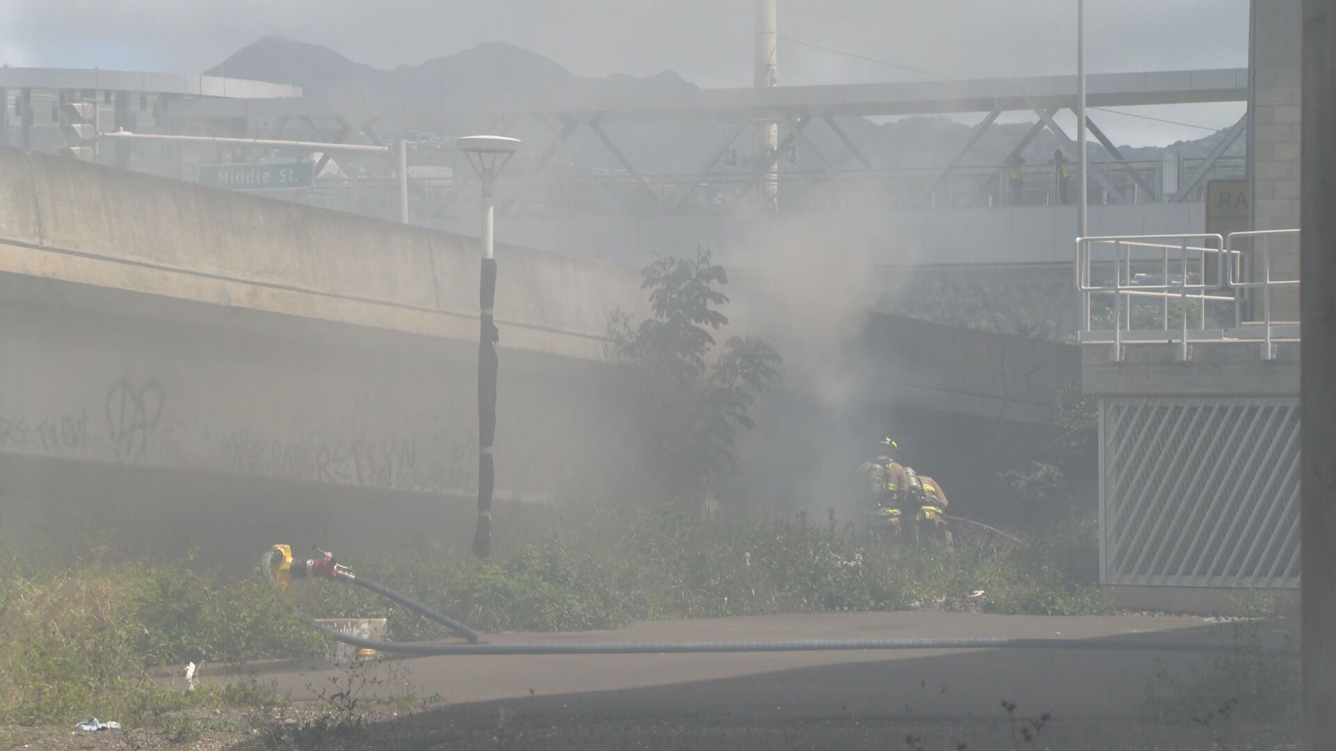 Wildfire sparks off Nimitz Highway near viaduct