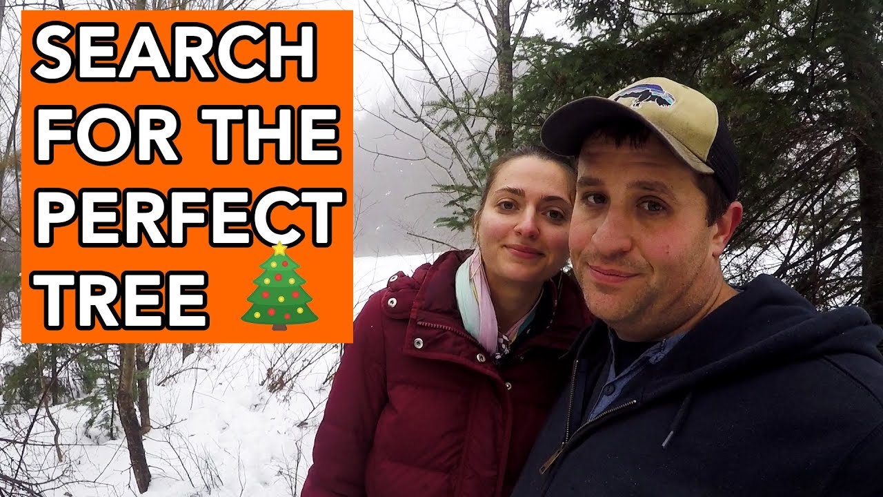 Cutting your own Christmas tree for the holidays