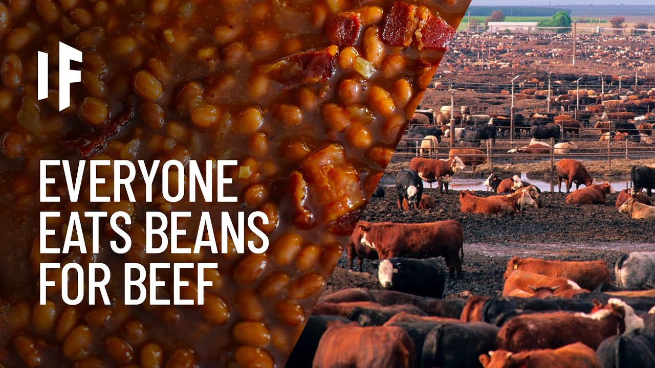 Beans Instead of Beef: How Would It Change Us?