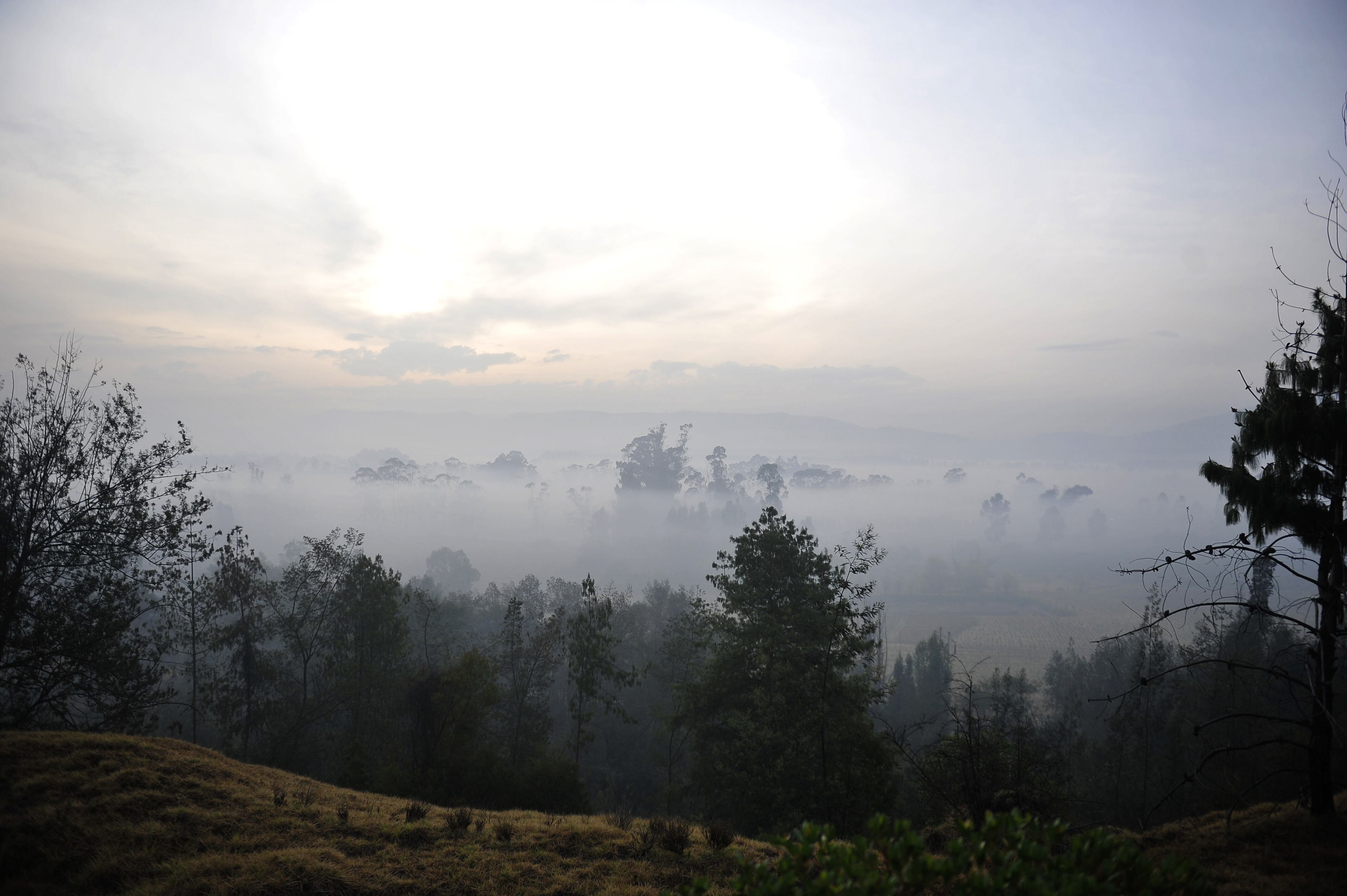 Ya hay fecha de audiencia pública en Congreso para debatir proyecto de ...