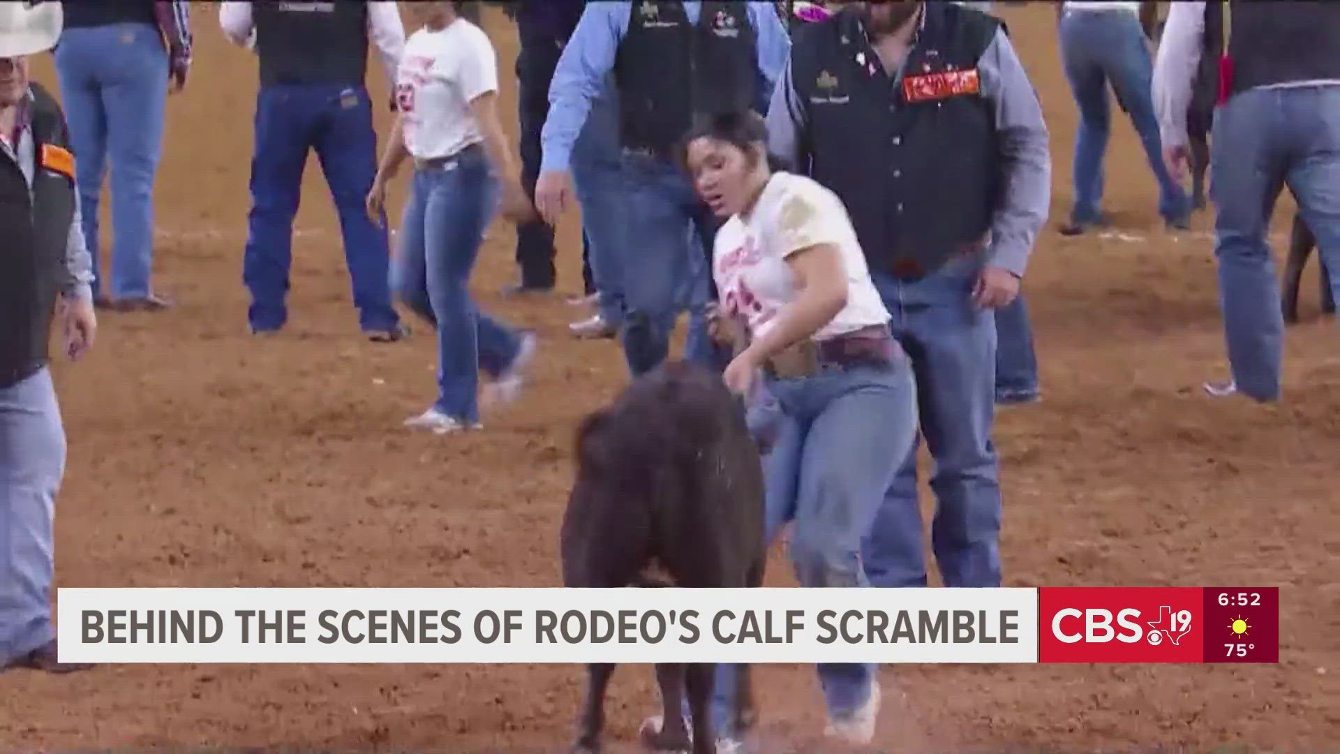 Behind the scenes of the Houston Rodeo's Calf Scramble