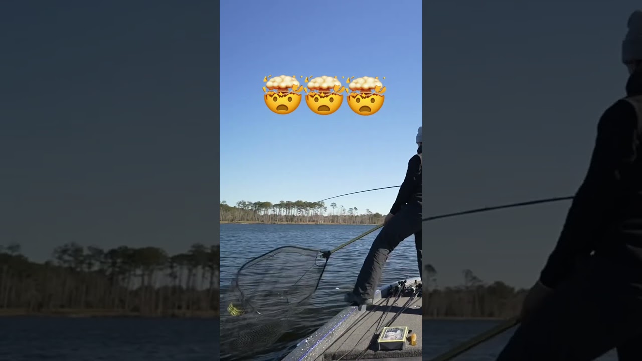 Strange Fish Behavior That Shocked Even Experts